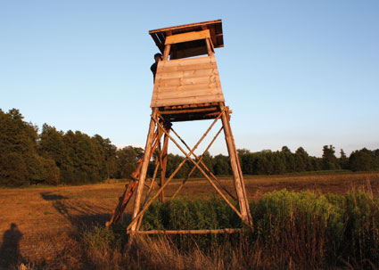 Jagdrevier Turawa in Polen - Bavaria Jagdreisen GmbH